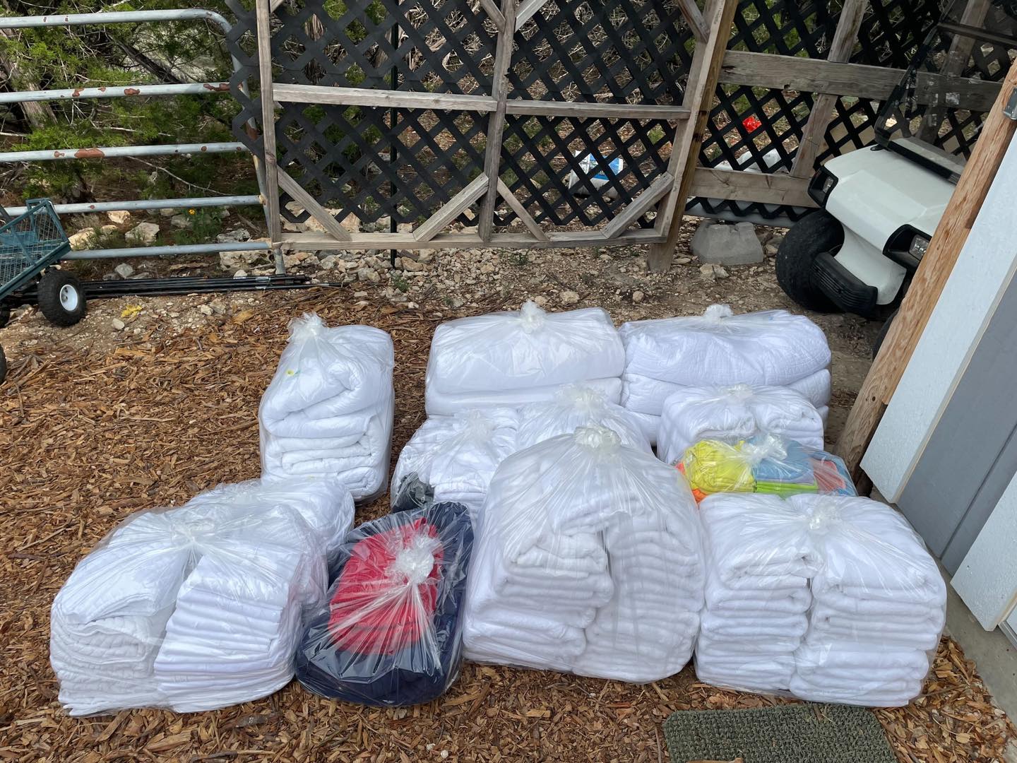 Same-Day Laundry Pickup & Delivery in Toronto | Just Clean It